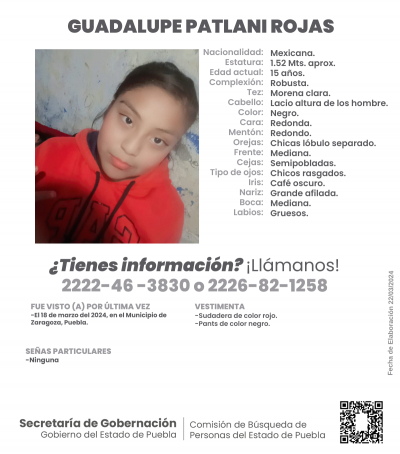 Guadalupe Patlani Rojas